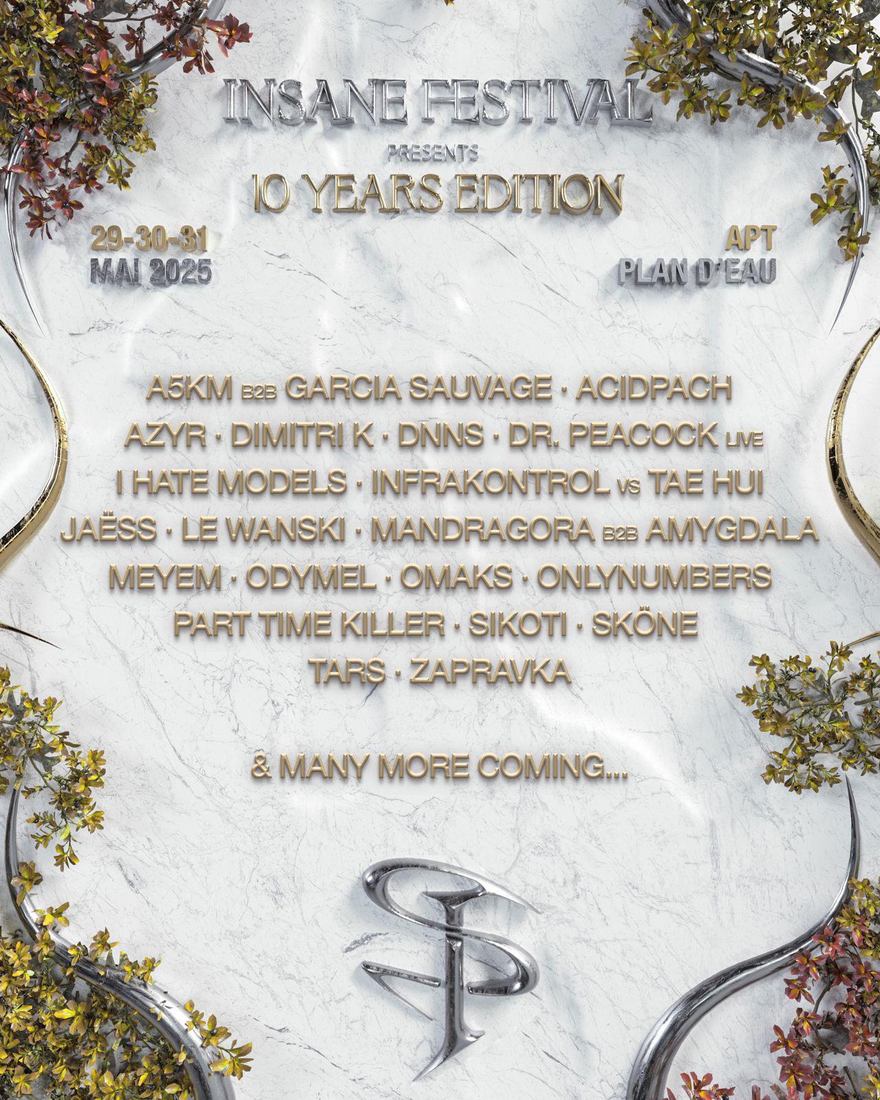 Insane 2025 : le festival fête ses 10 ans avec une programmation ...